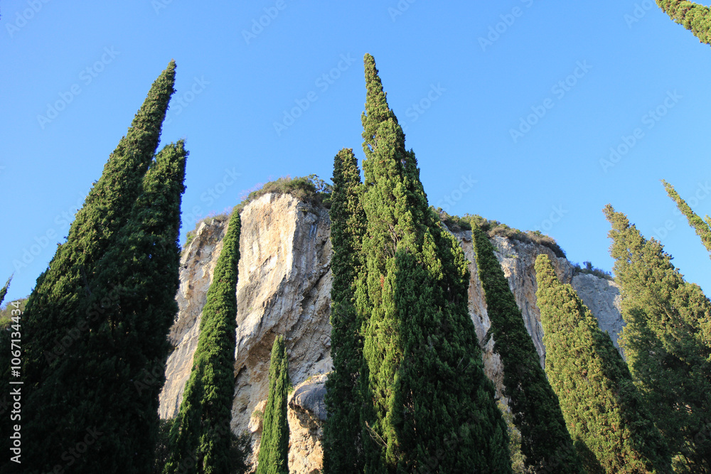 Mediterranean Cypress Trees with Cliff Formation in the Background on ...