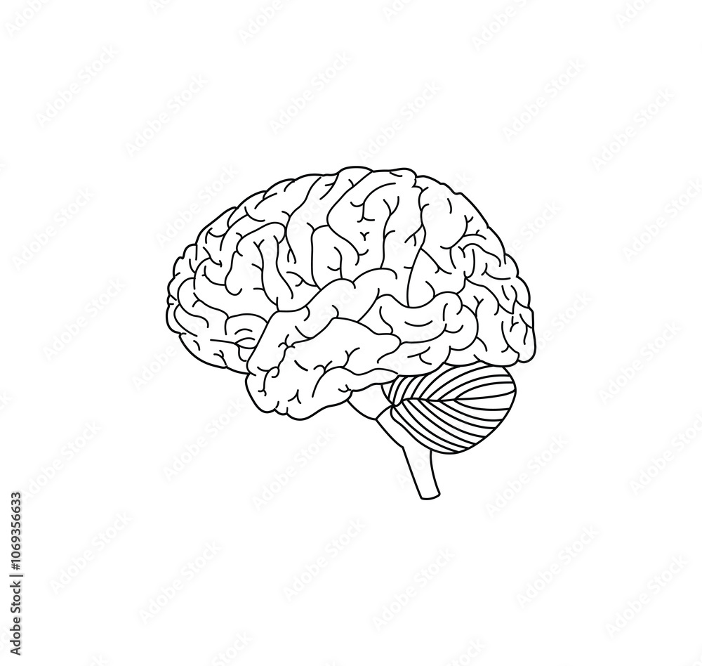 Human brain medical vector icon illustration isolated on white ...