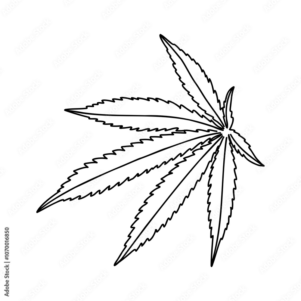 Marijuana plant line art drawing clipart. Cannabis botanical ...