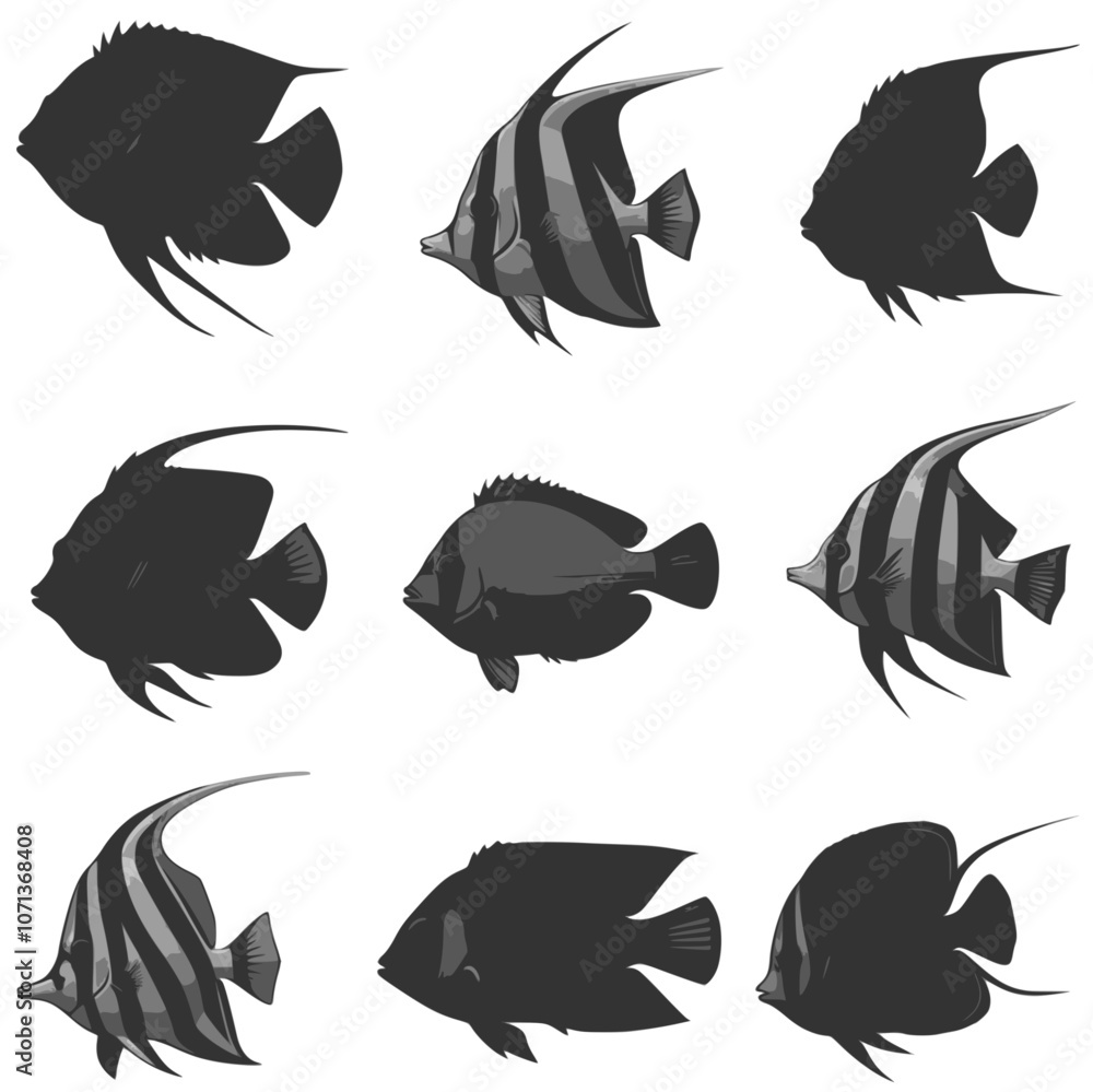 Tropical fish silhouettes on transparent background. Vector image of ...