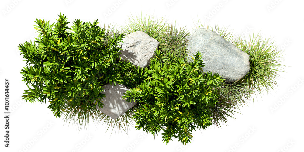 Aerial view shrubs plants with grassy and rocks isolated on transparent ...