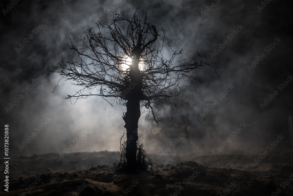 Silhouette of scary Halloween tree with horror face on dark foggy toned ...