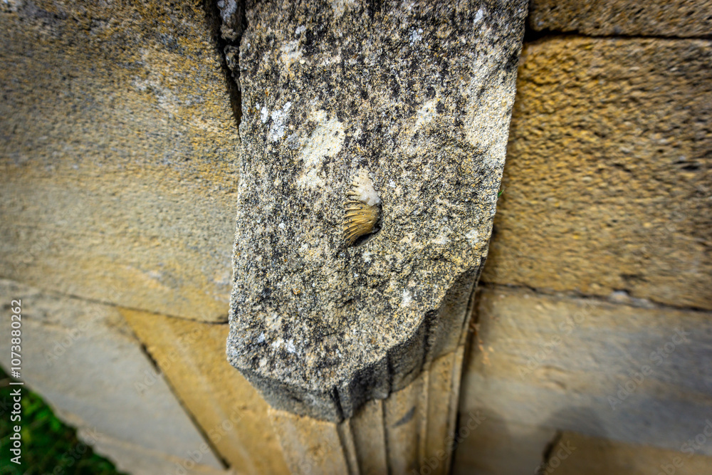 "Yeddi gumbes " Translated as Seven Mausoleums - one of the most famous ...