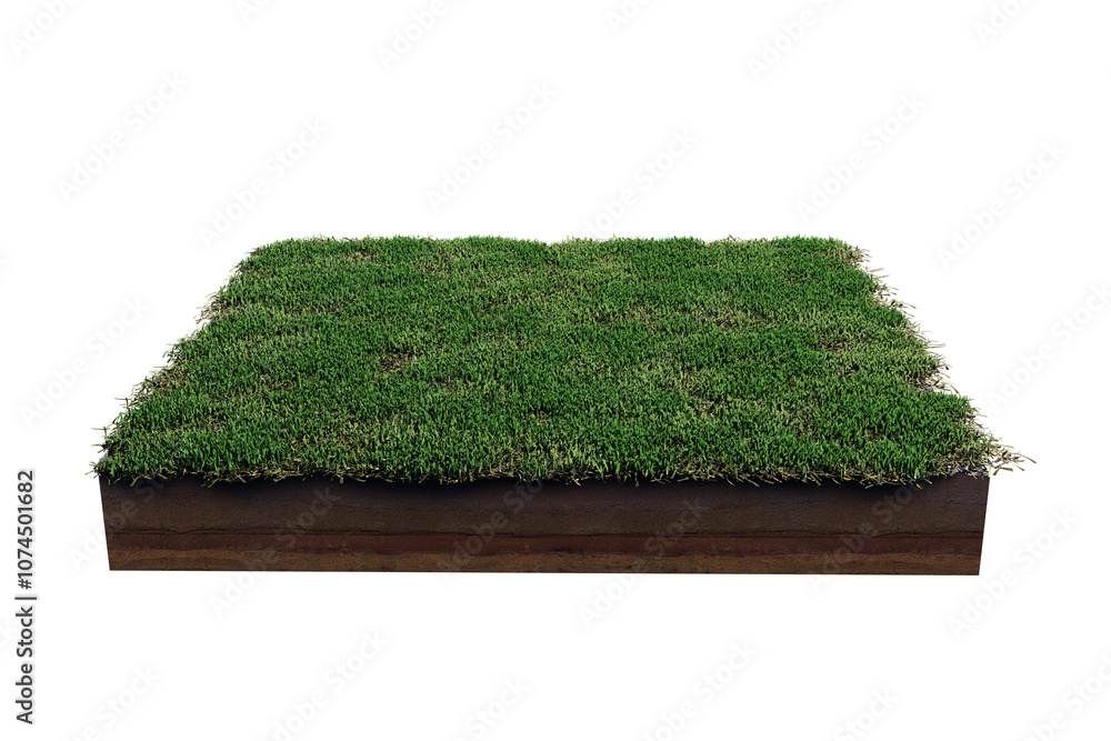 Square soil land geology cross section with green grass, flowers, green ...