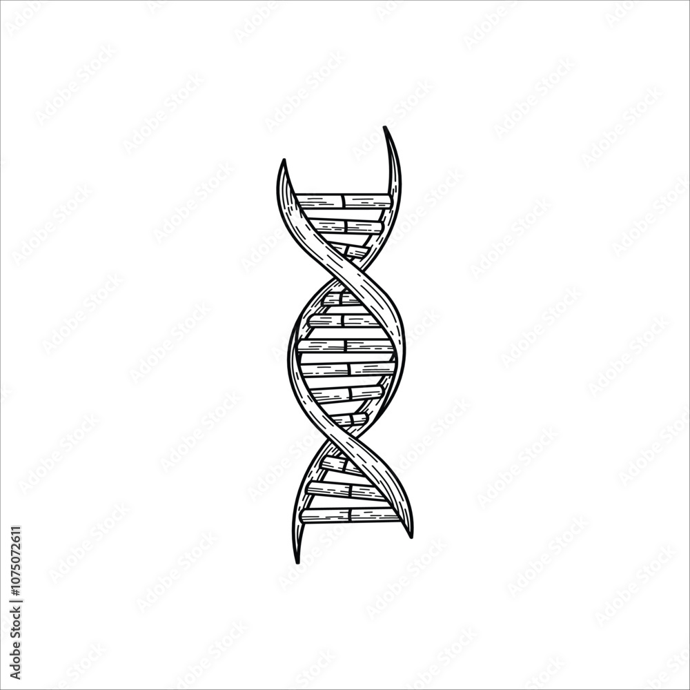 DNA structure drawing sketch artwork hand drawn illustration Stock ...