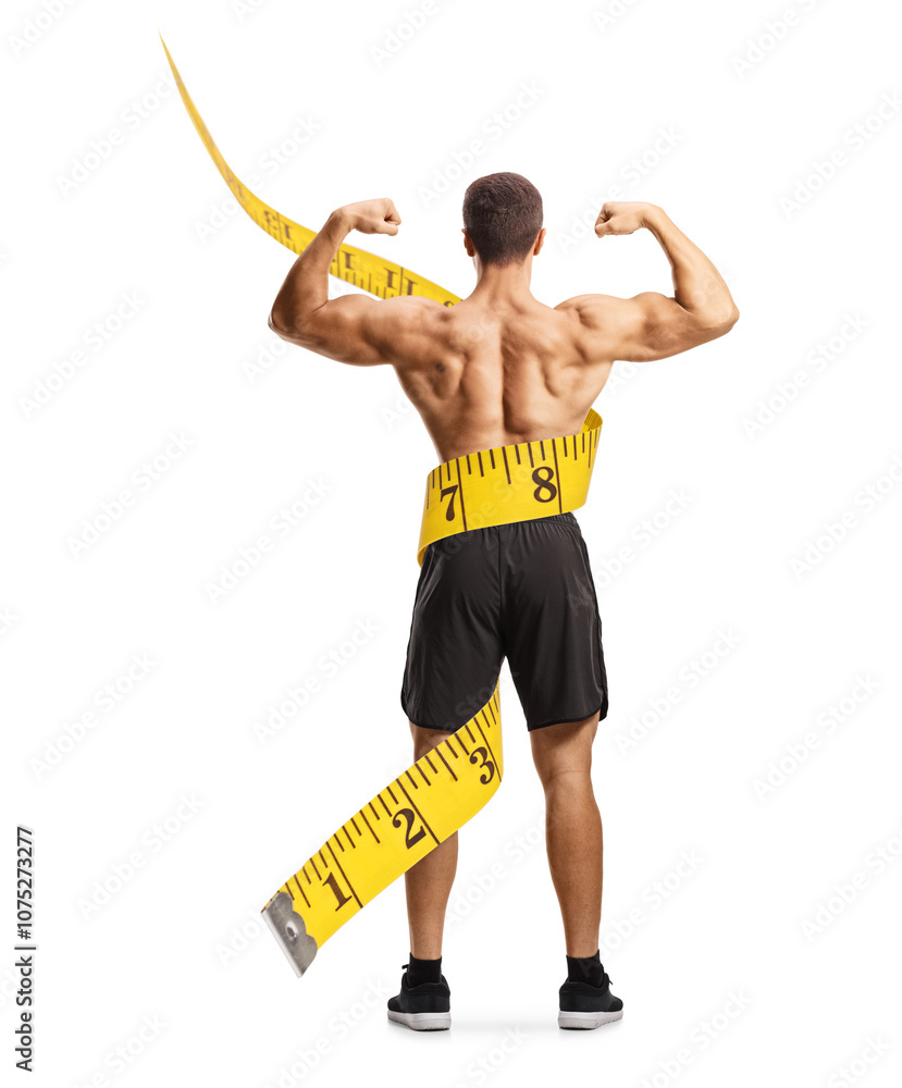 Rear view of a shirtless musuclar man flexing back muscles with measure ...