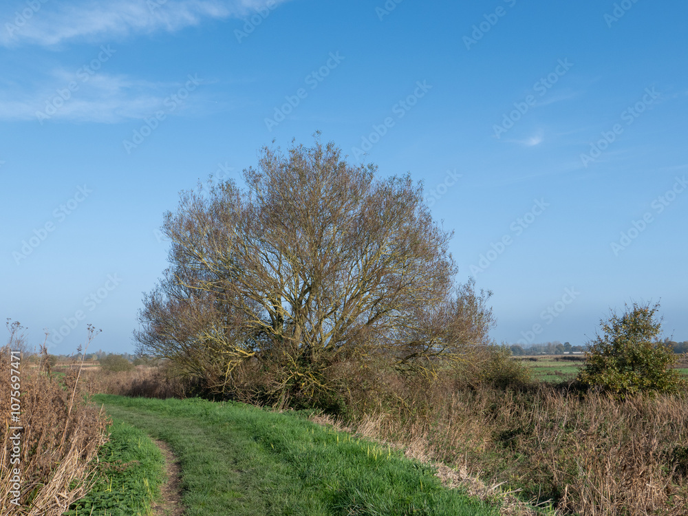 Rural footpath along the River Ant in the heart of the Norfolk Broads ...