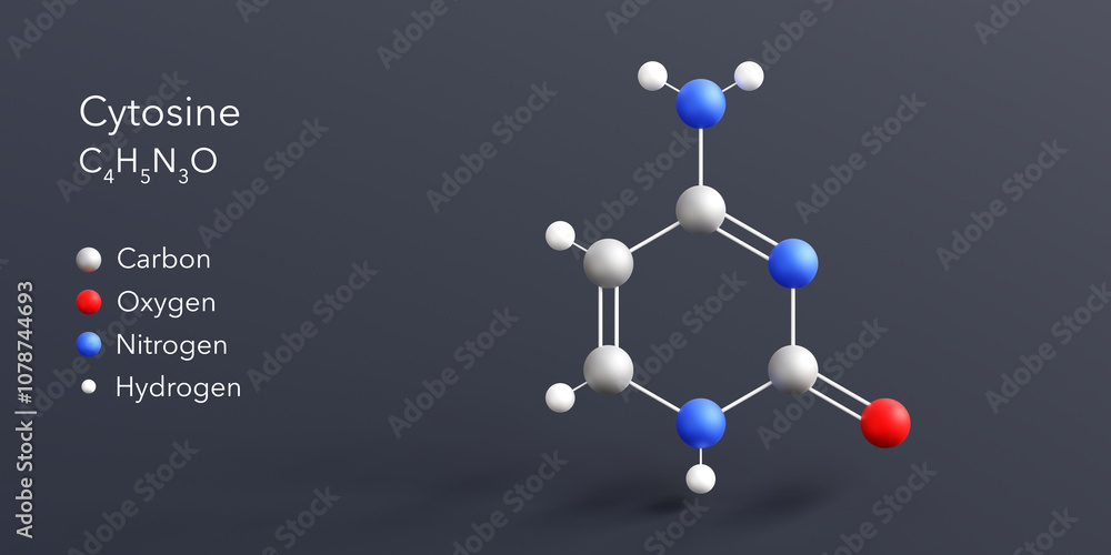 Cytosine Molecule 3d Rendering Flat Molecular Structure With Chemical Formula And Atoms Color