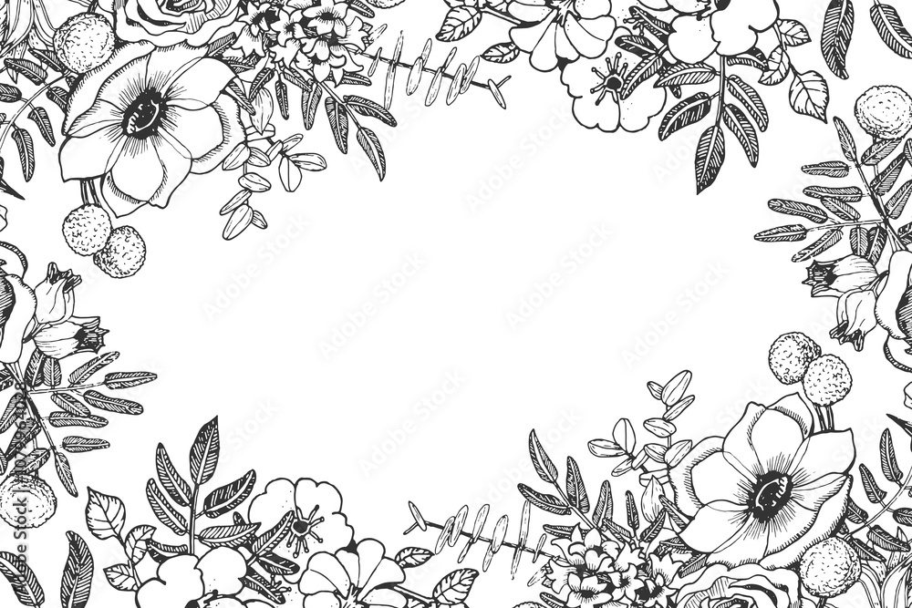 Floral vector black and white hand drawn frame.Border with anemone ...