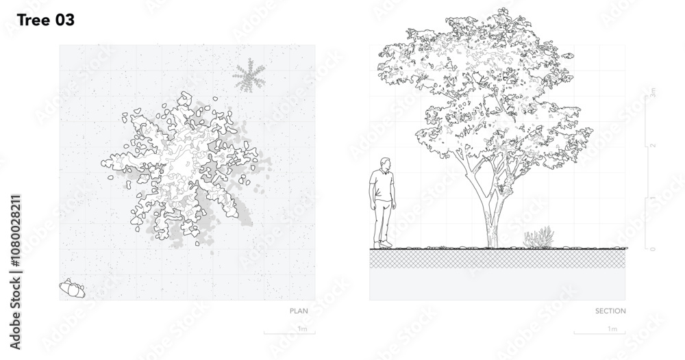Architectural Drawings, Minimal style cad tree line drawing, Side view ...