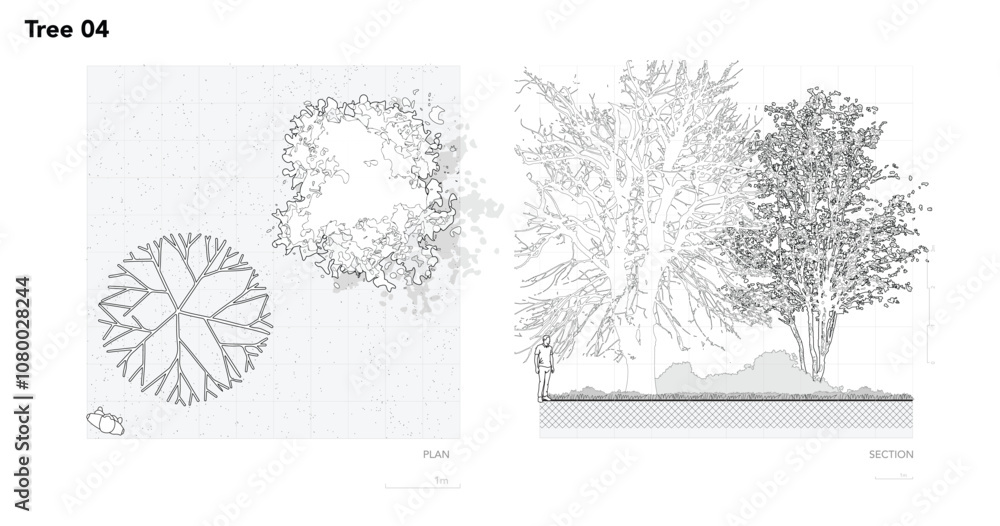 Architectural Drawings, Minimal style cad tree line drawing, Side view ...