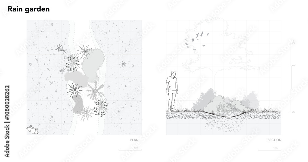 Architectural Drawings, Minimal style cad tree line drawing, Side view ...