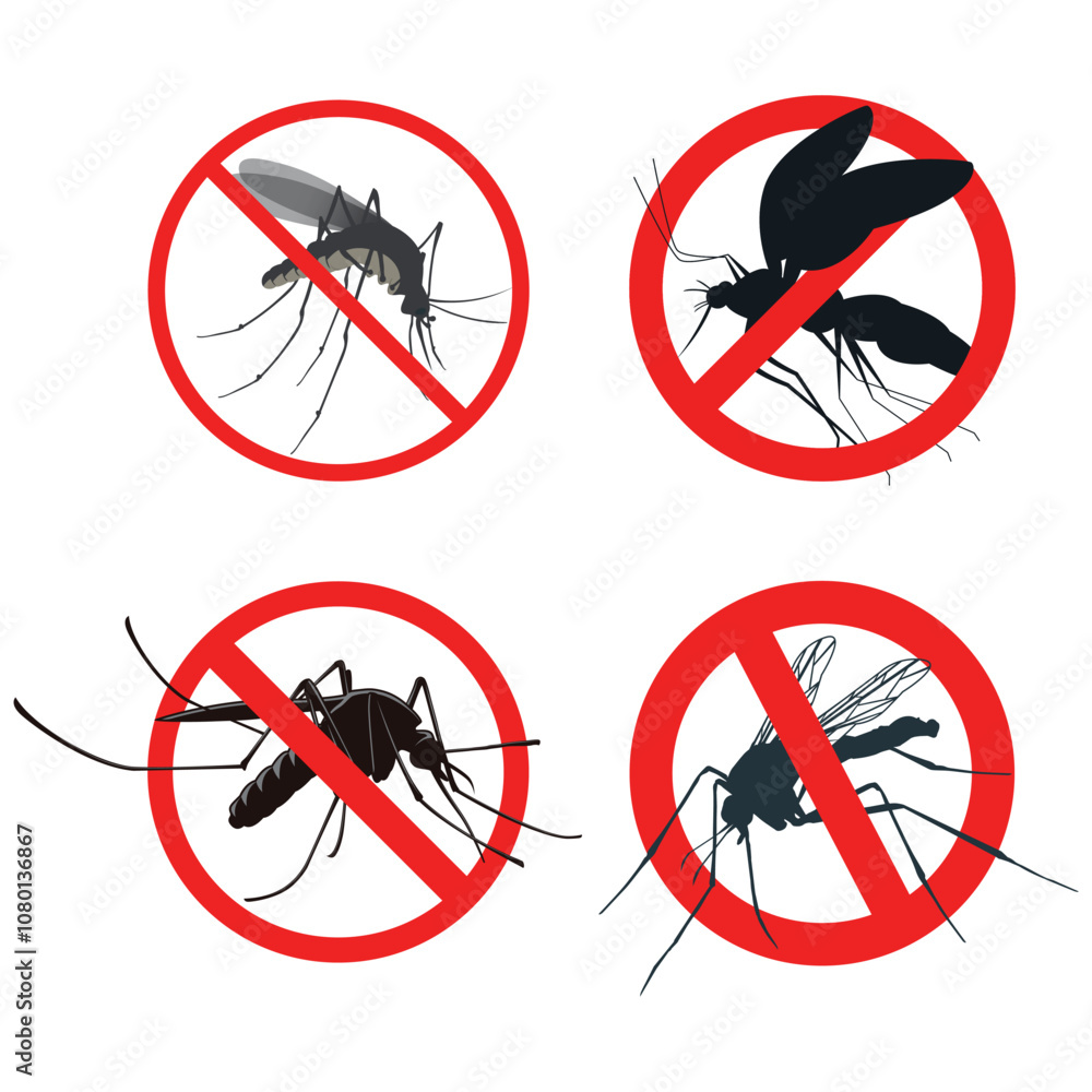 Mosquitoes are insects belonging to the order Diptera (flies), and are ...