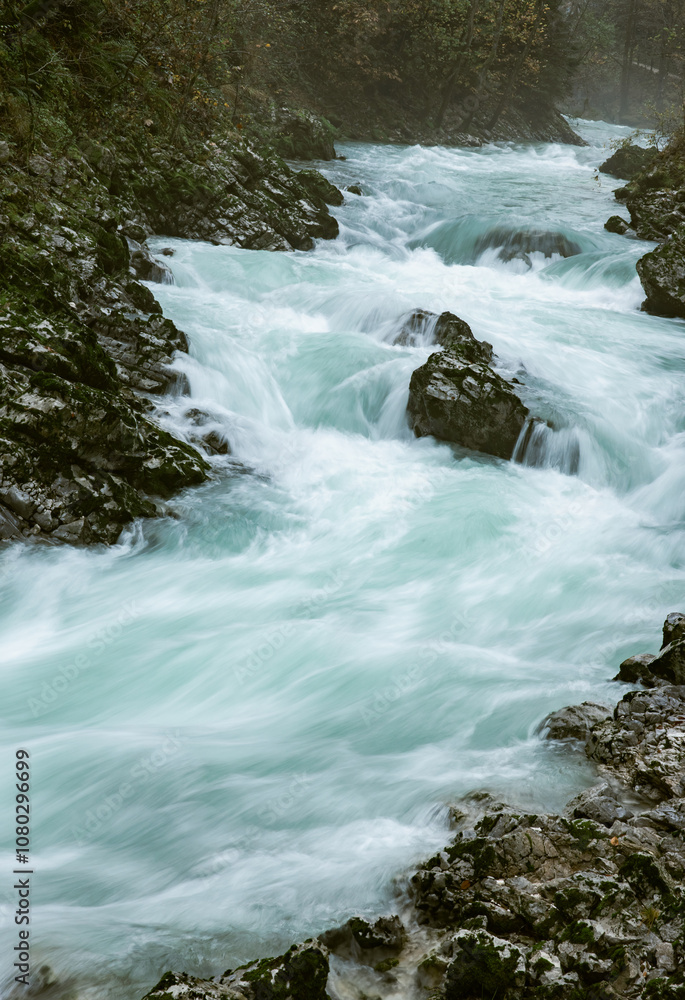 The Radovna River Running Through The Vintgar Gorge ( aka Bled Gorge ...