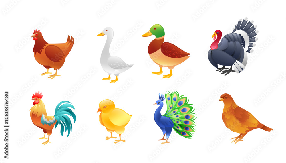 Set of illustrations of farm birds, chicken, duck, goose, turkey ...
