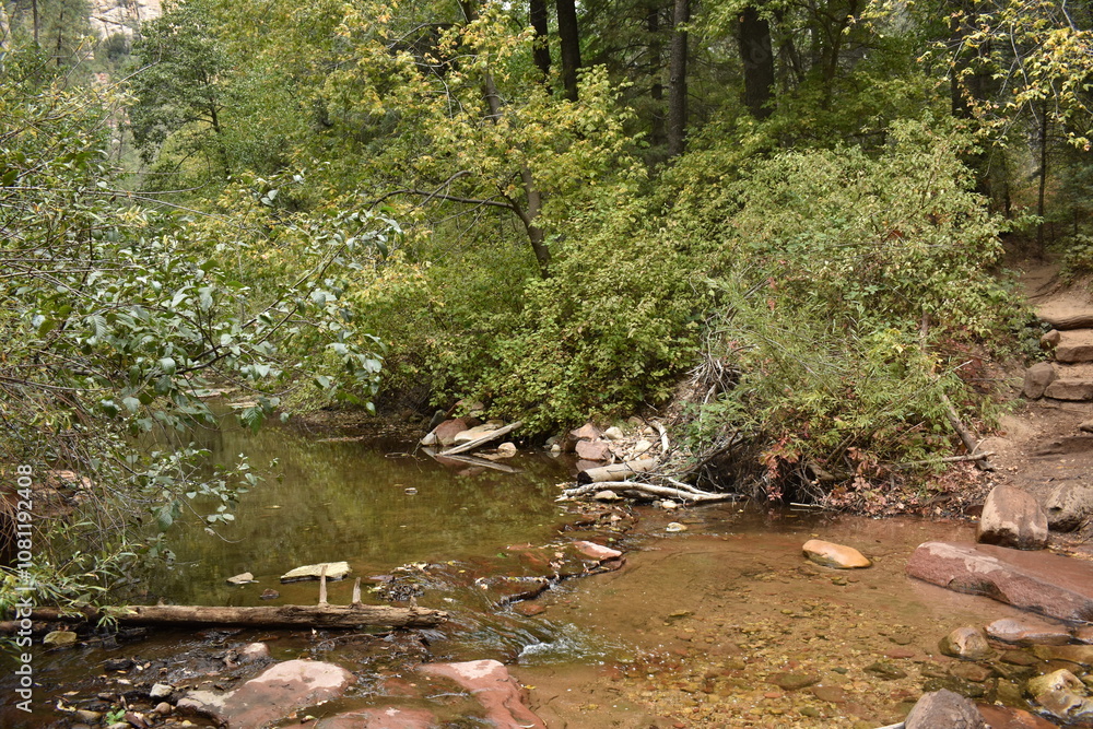 Shallow river crossing for a forest hiking trail Stock Photo | Adobe Stock