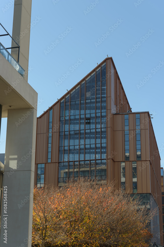 east facade of Limberlost Place (a mass-timber building) at George ...