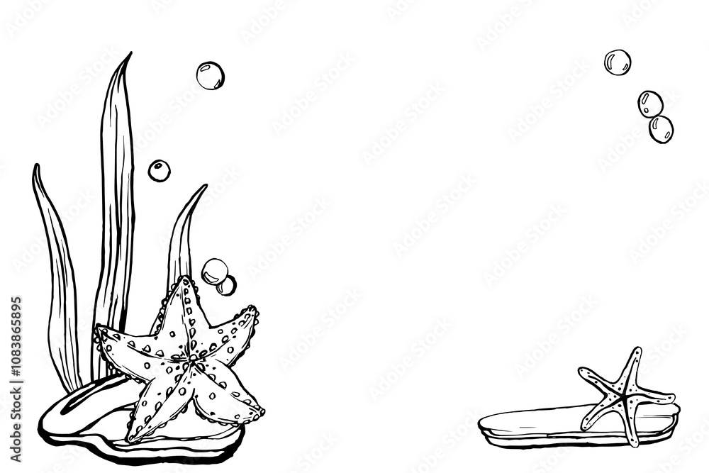 Vector starfish illustrations. Seabed landscape design template drawing ...