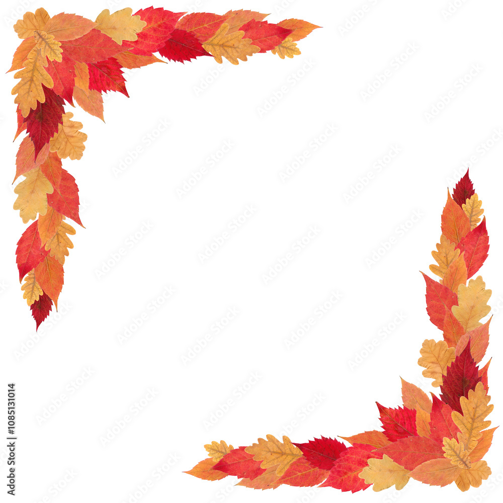Autumn frame, border with fall colorful leaves on transparent ...