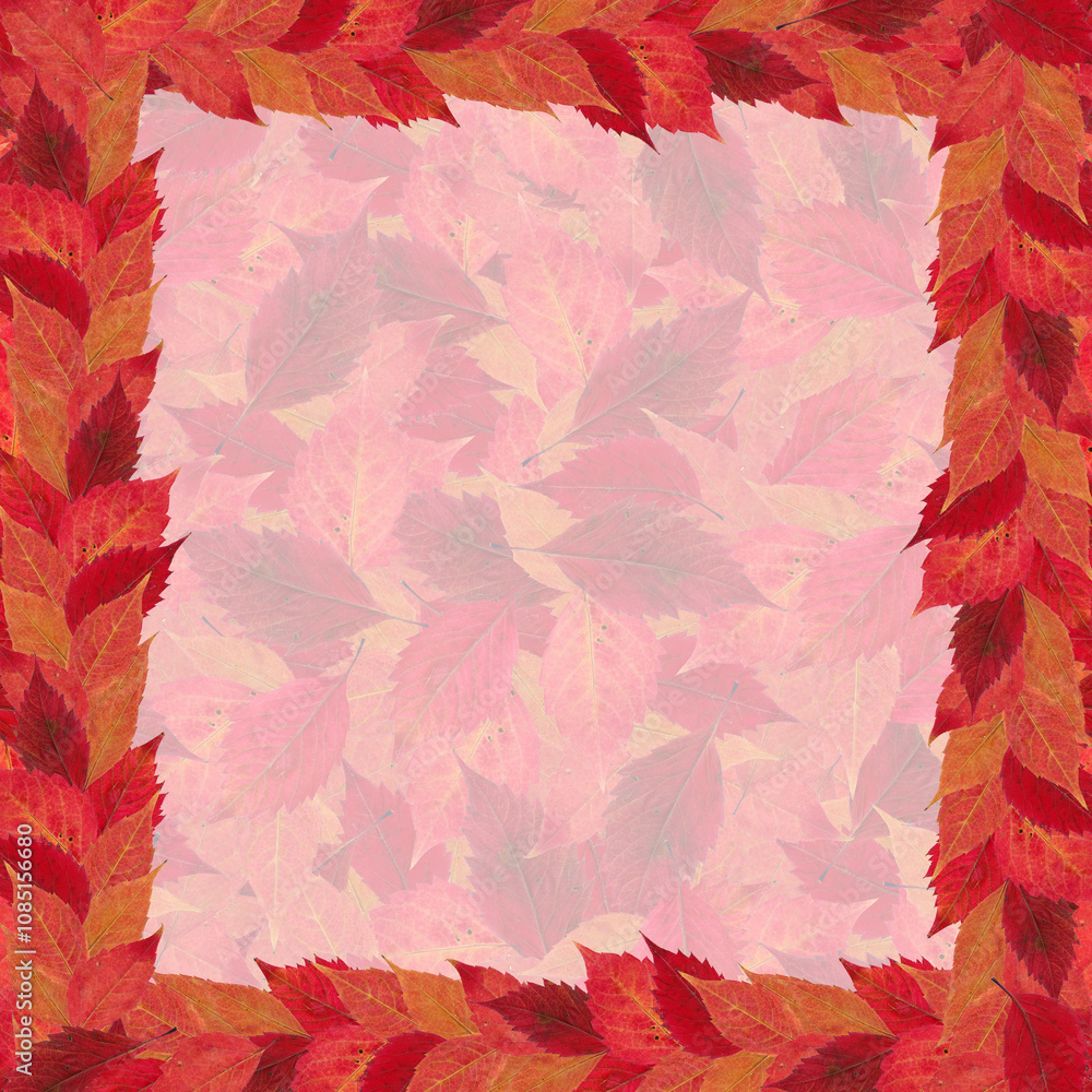 Autumn frame of real fall leaves. Seasonal paper note template. Notes ...