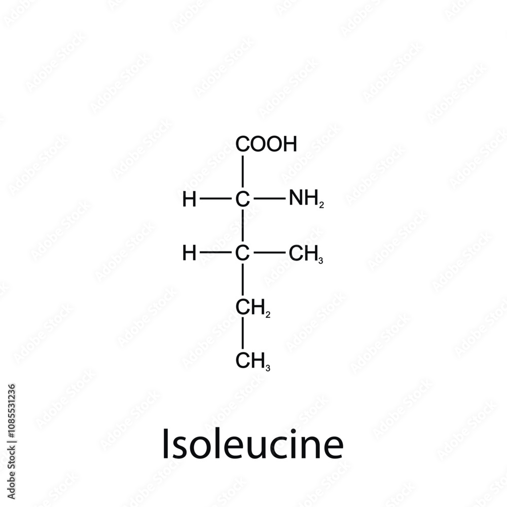 Chemical formula of isoleucine. Essential amino acids. Organic ...