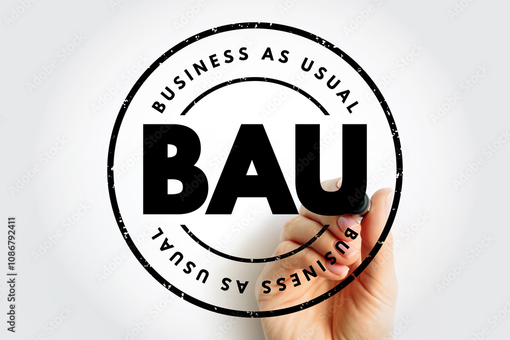 BAU Business As Usual - normal execution of standard functional ...