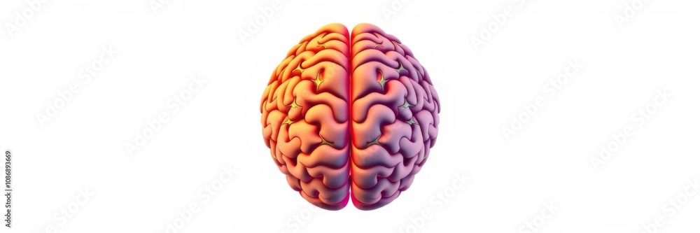 Illustration of human brain function map with labeled areas for motor ...