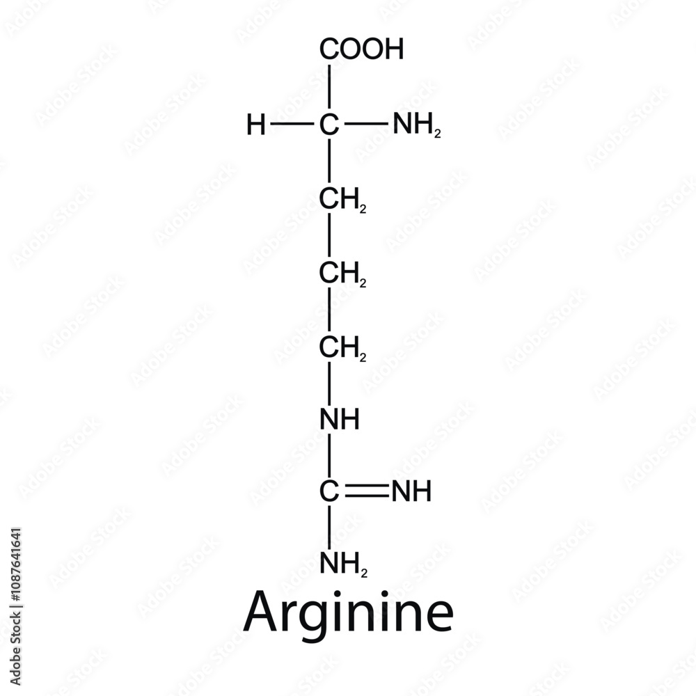 Chemical formula of arginine. Essential amino acids. Organic chemistry ...