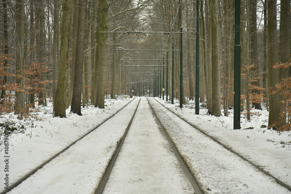 ภาพถ่าย Stock Rails de tram de la ligne 44 traversant une partie de la ...