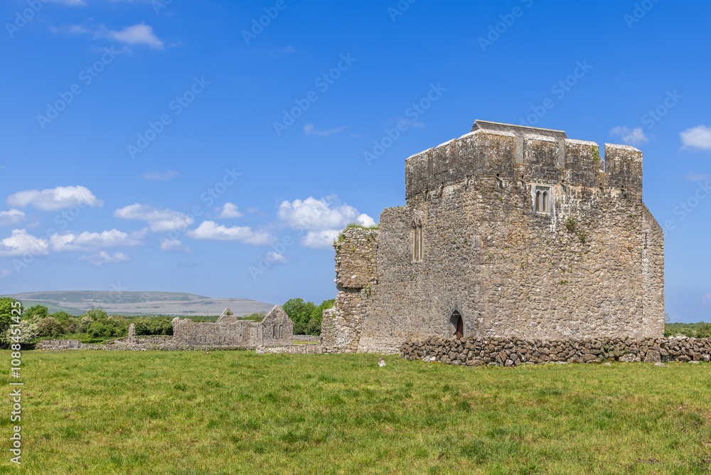 The tower house at Kilmacduagh Abbey in County Galway, Ireland, stands ...