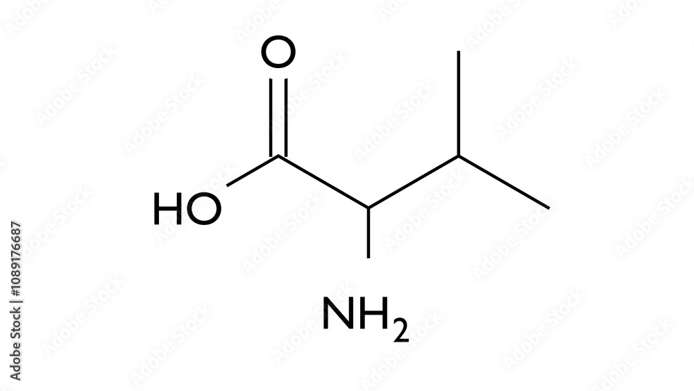 valine molecule, structural chemical formula, ball-and-stick model ...