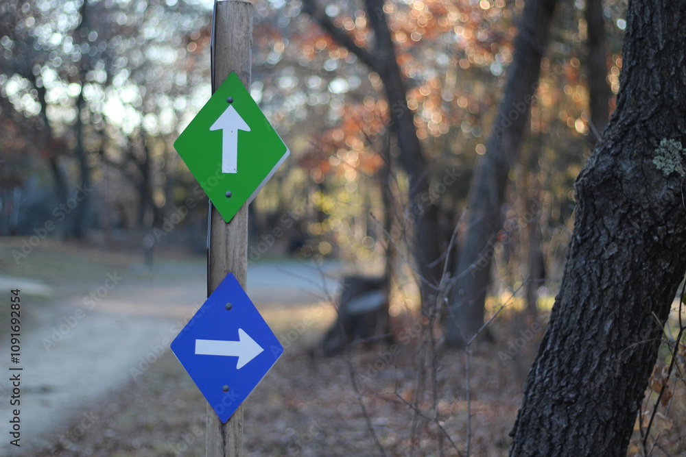 abstract multidirectional arrows trail road sign instructions ...