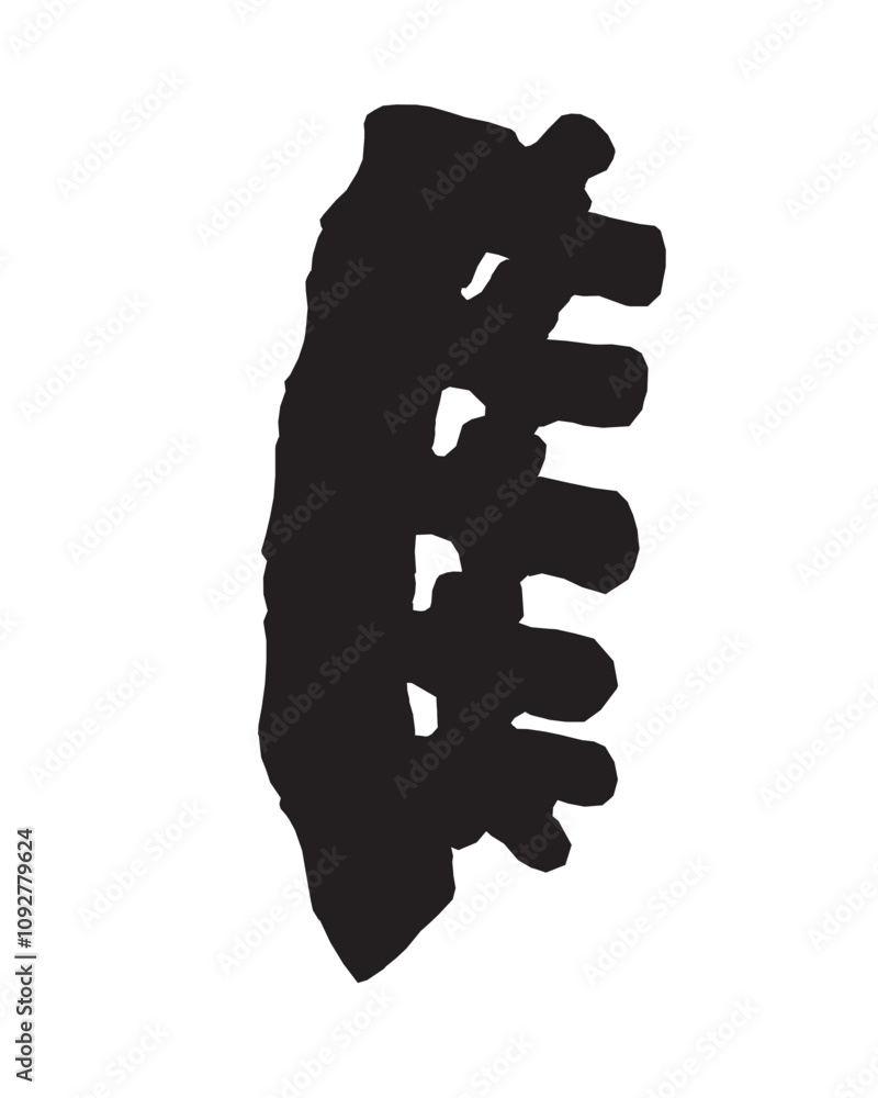 Stock-Vektorgrafik „Silhouette Anatomy of normal human Disc ...