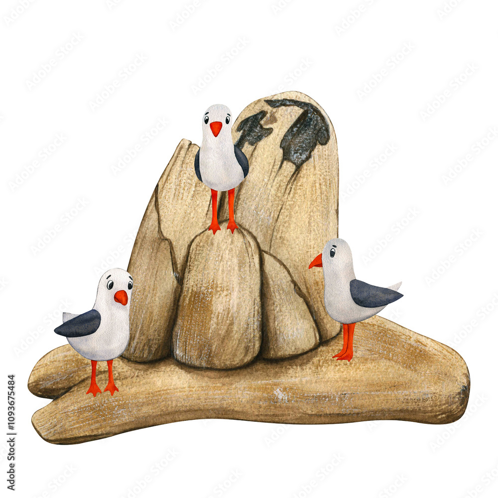 Watercolor illustration of seagulls on a rock. Hand drawn rock and ...