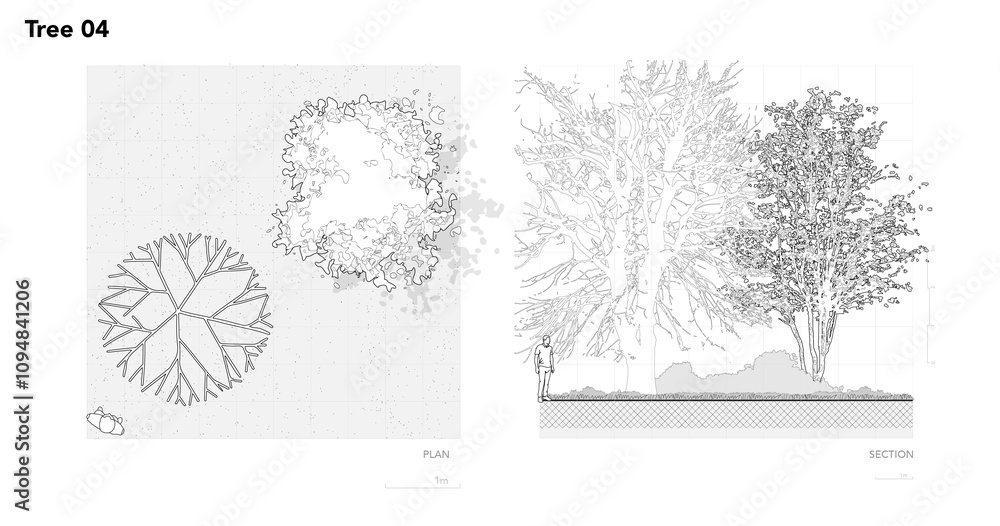 Architectural Drawings, Minimal style cad tree line drawing, Side view ...