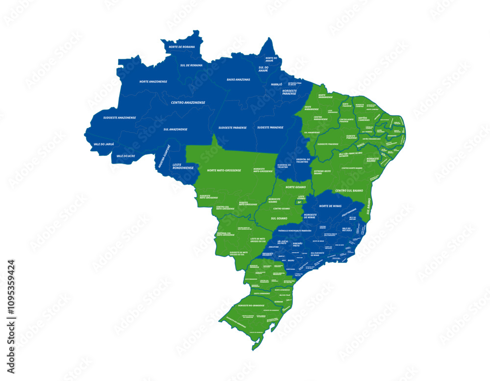 Mapa do Brasil com as Mesorregiões Vetor Stock Vector | Adobe Stock