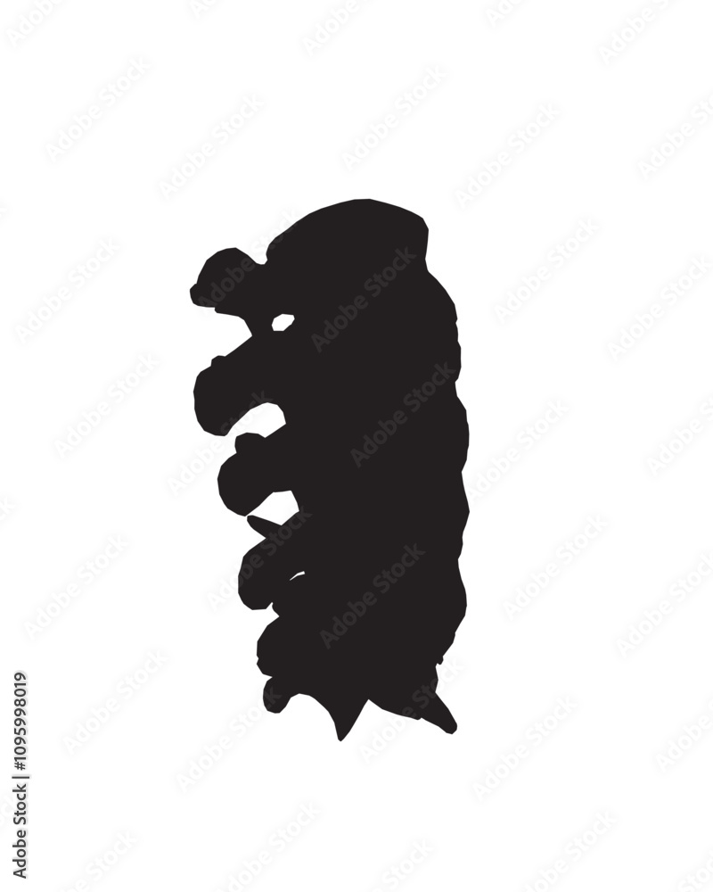 Silhouette Anatomy of normal human Disc. Illustration of Medical ...