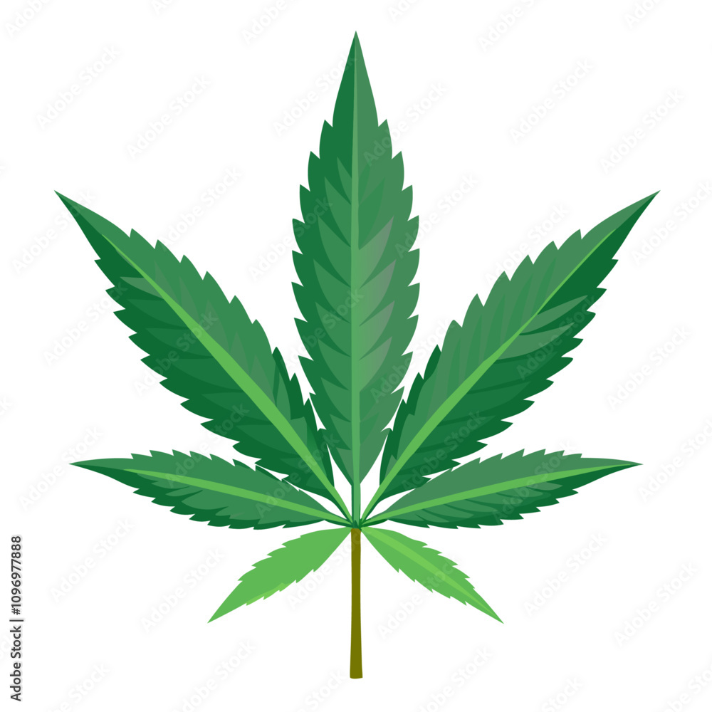 cannabis plant isolated clipart cartoon Illustration drawing Stock ...