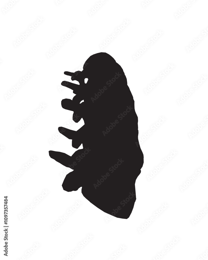 Silhouette Anatomy of normal human Disc. Illustration of Medical ...
