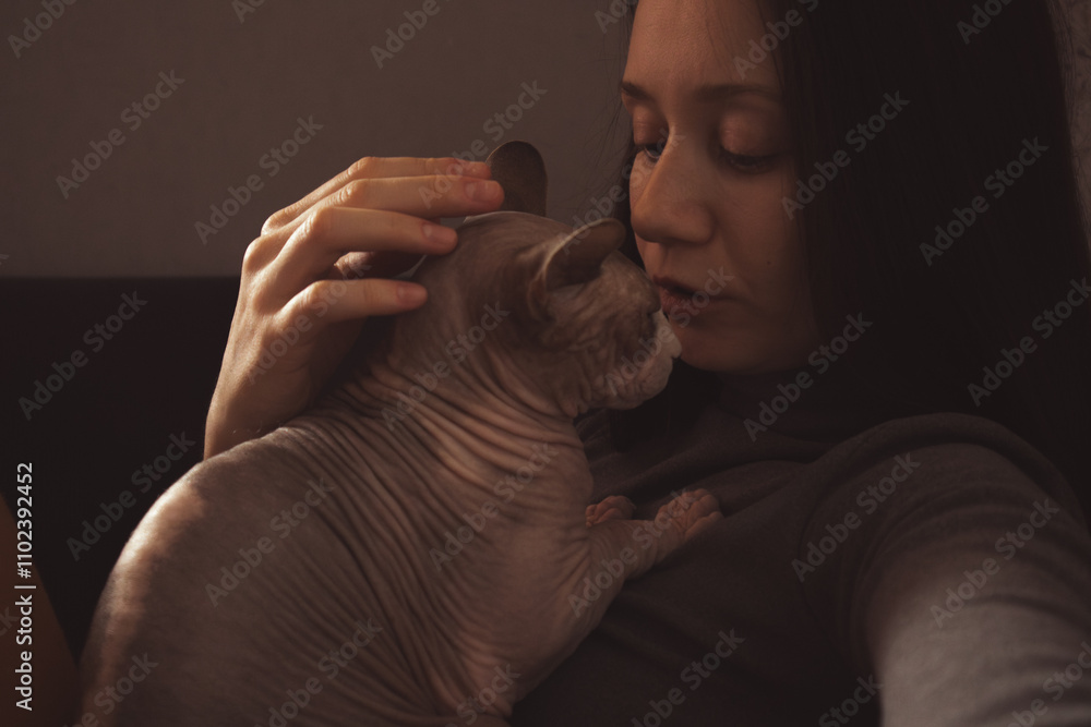 Aesthetic photo of a hairless cat and young woman petting it. Girl ...