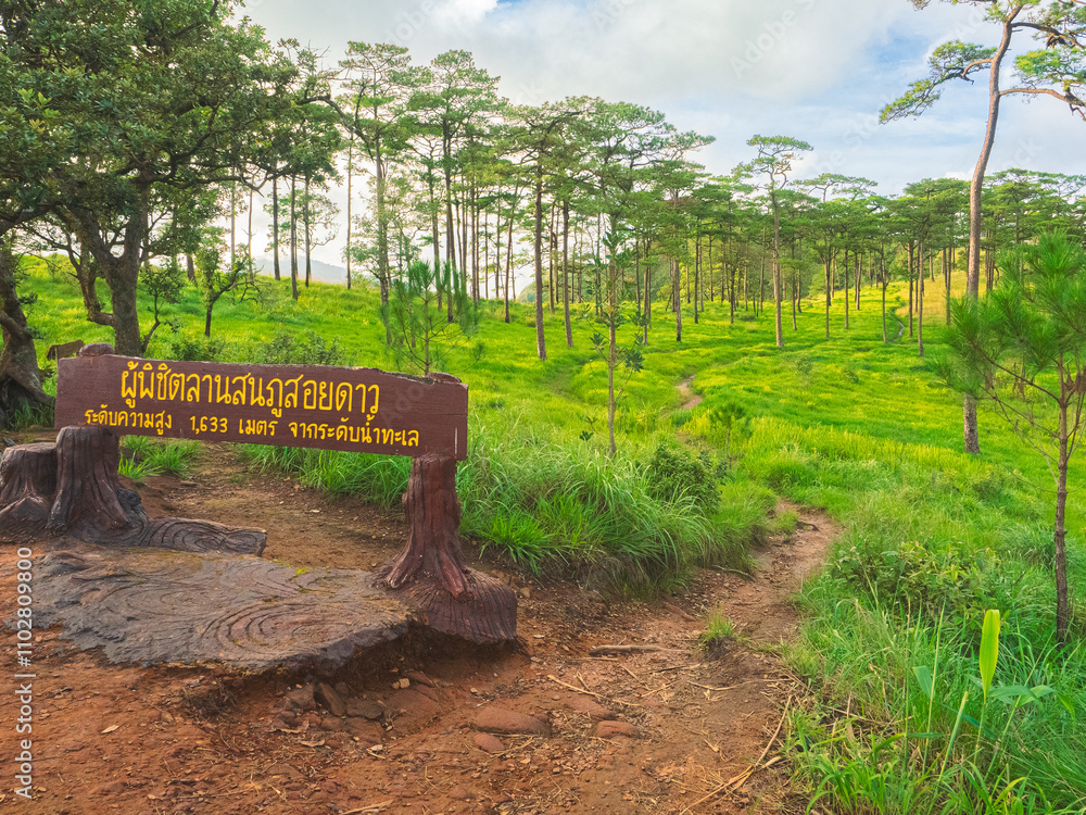 Lush green forest with a Thai sign reading, Conqueror of Phu Soi Dao ...