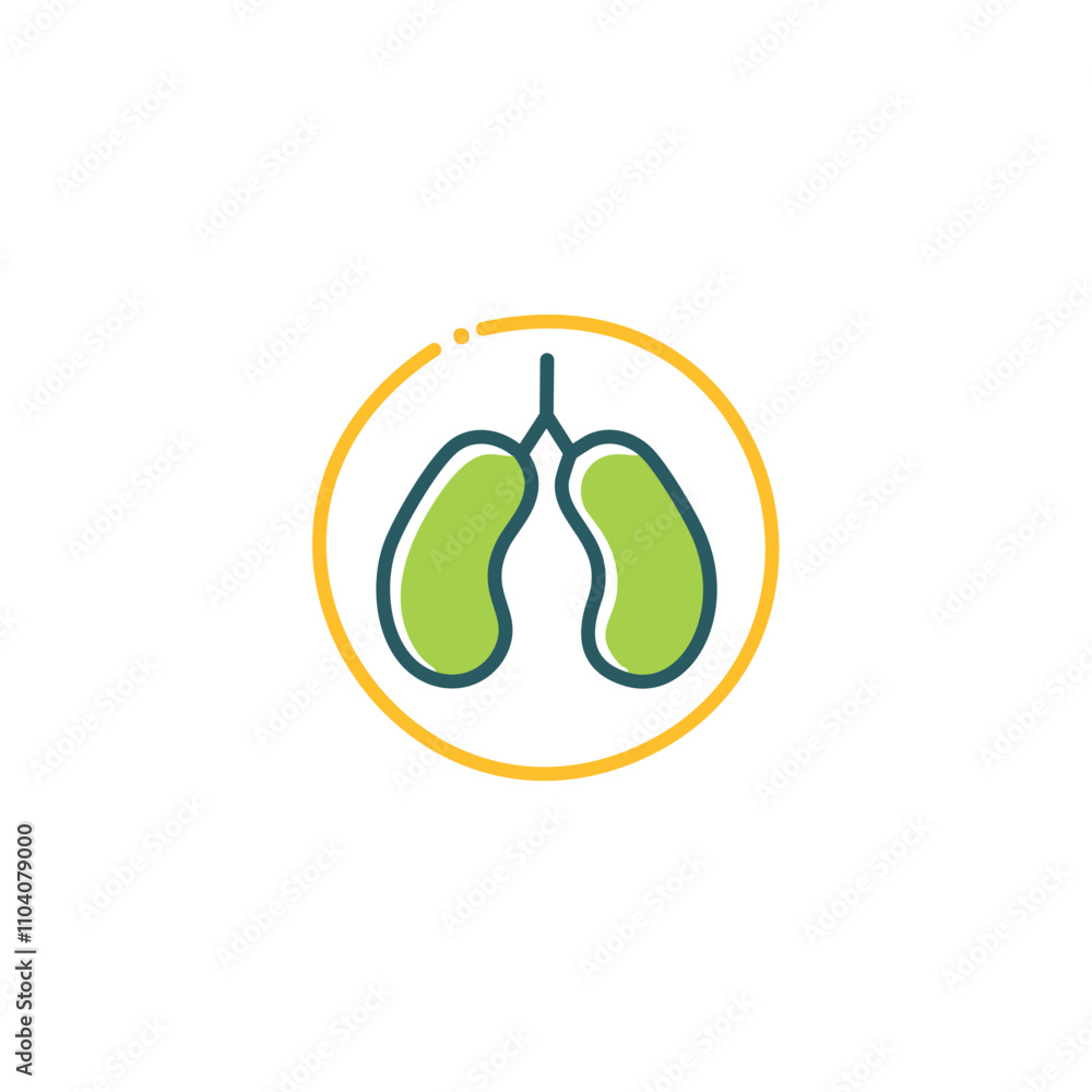 Healthy human lungs. Lungs icon; vital organ, respiratory system, clean ...