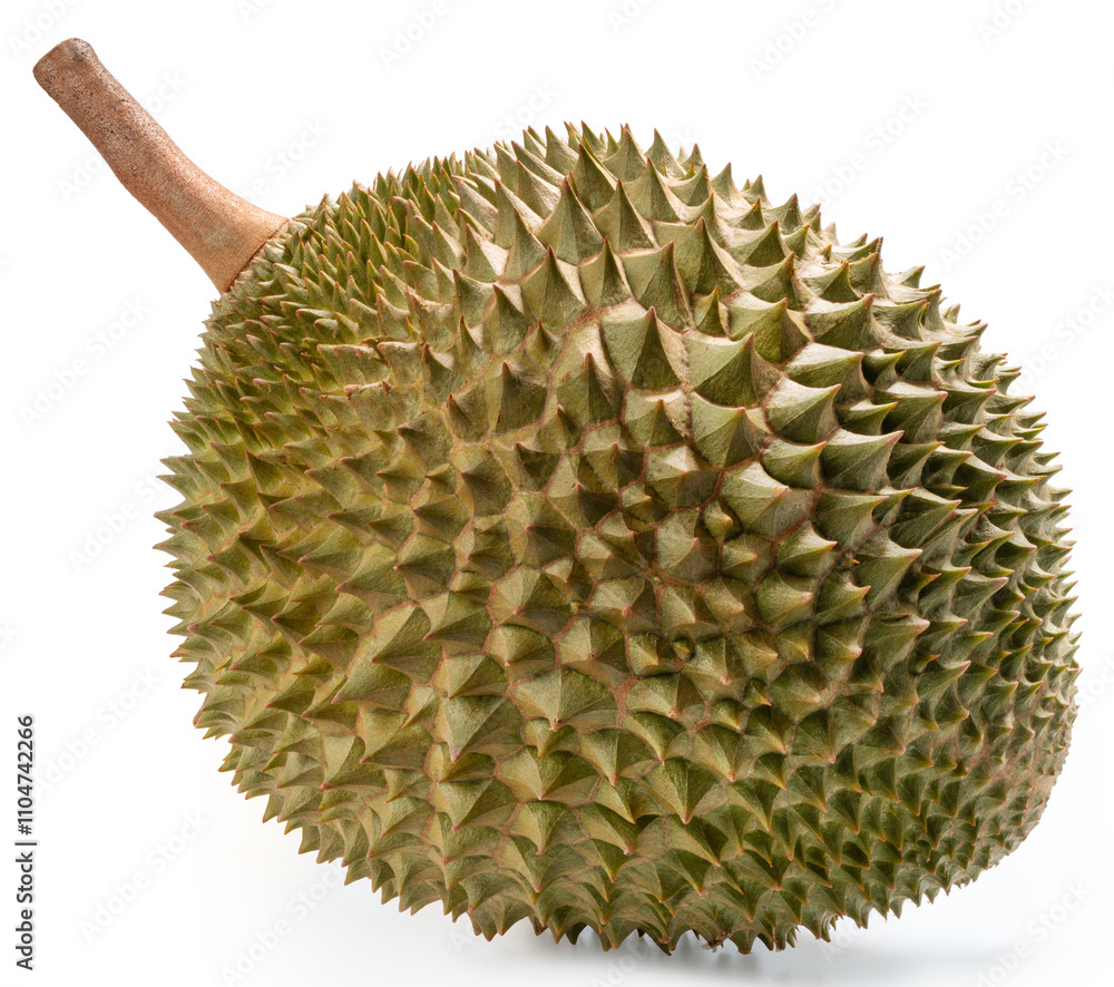 Durian The King of (Tropical) Fruits isolate on white background PNG ...