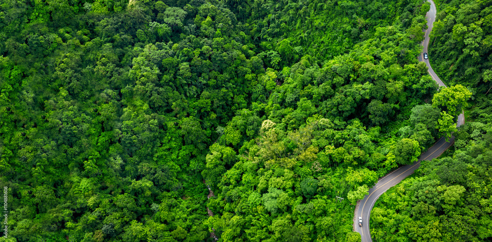 Road rainforest ecosystem and healthy environment concept , Road in the ...