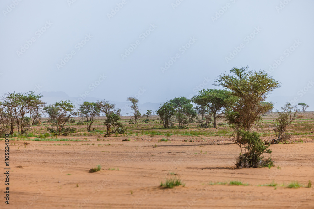 Moroccan Sahara Desert, ancient black volcanic mountains, the Sahara ...