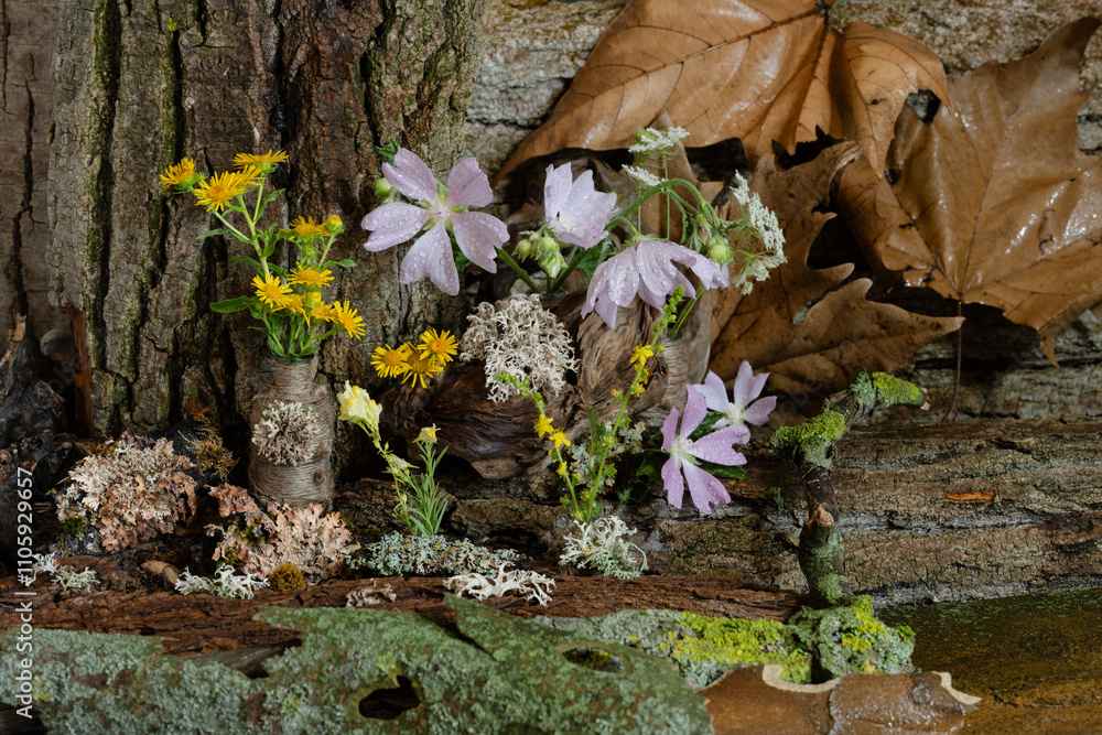 still life, composition, ikebana of summer wildflowers, sycamore leaves ...