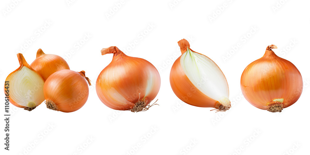 An onion displayed on a transparent PNG background, highlighting its ...