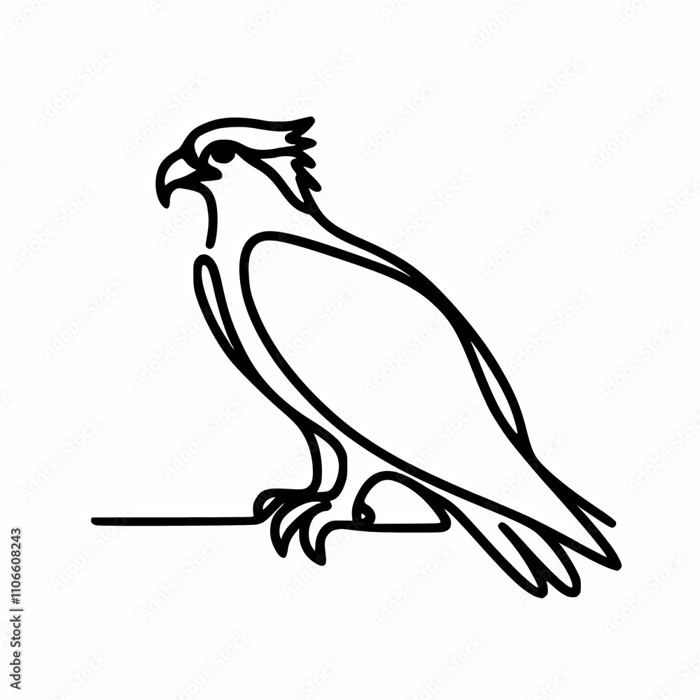 Continuous line illustration of an osprey bird design element Stock ...