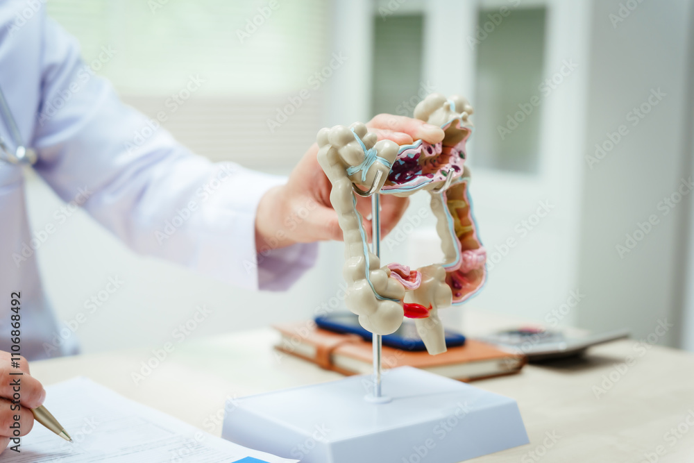 A male doctor wearing glasses sits at a desk, explaining an intestinal ...