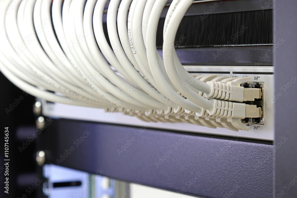 Connecting the Ethernet switch to the patch panel using patch cords ...